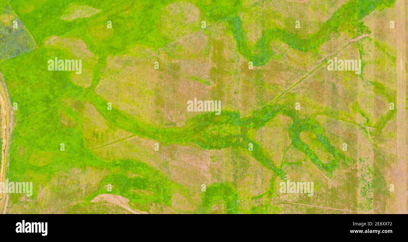 Top view of park, Natural grass texture Stock Photo - Alamy