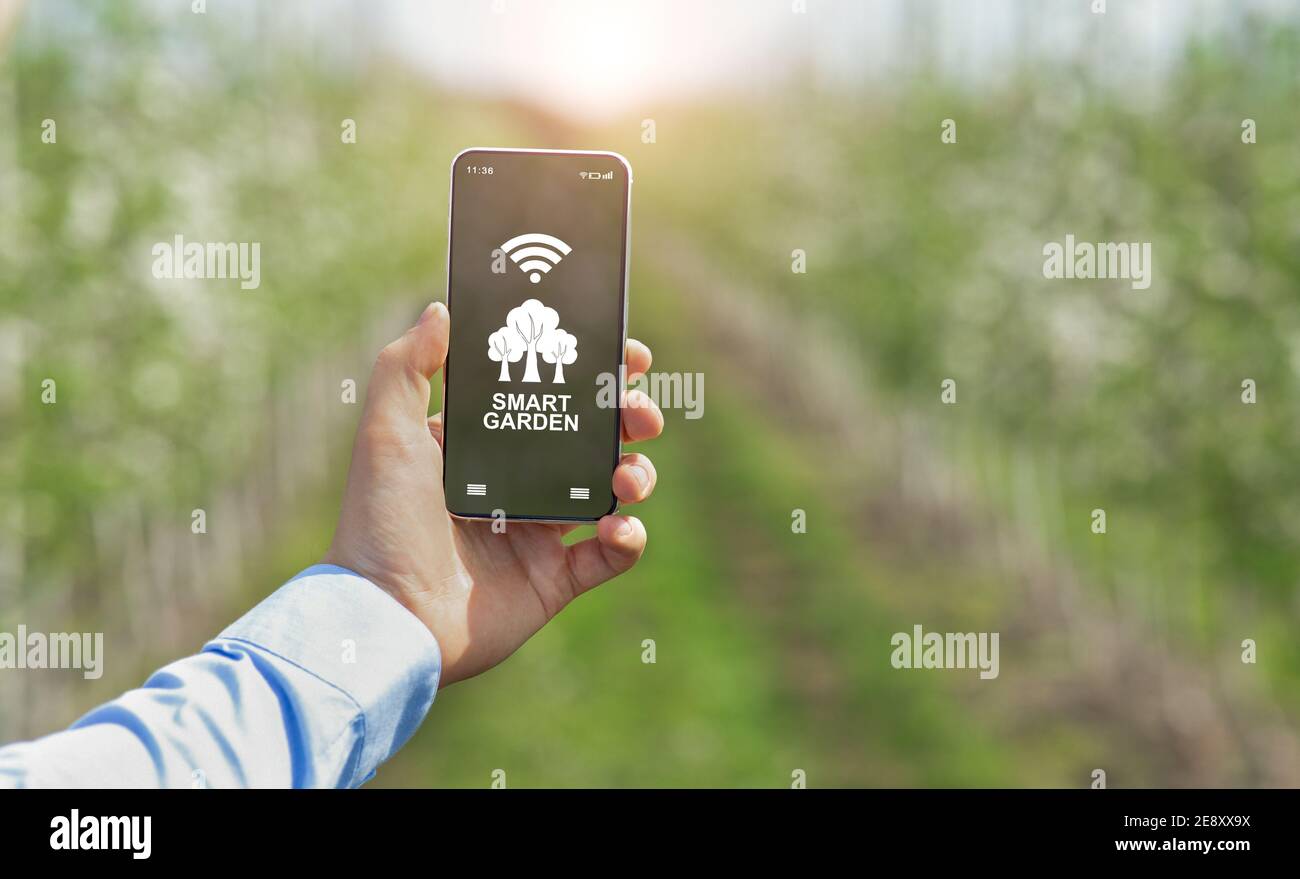 Farmers hand using mobile phone with SMART GARDEN app on screen ...