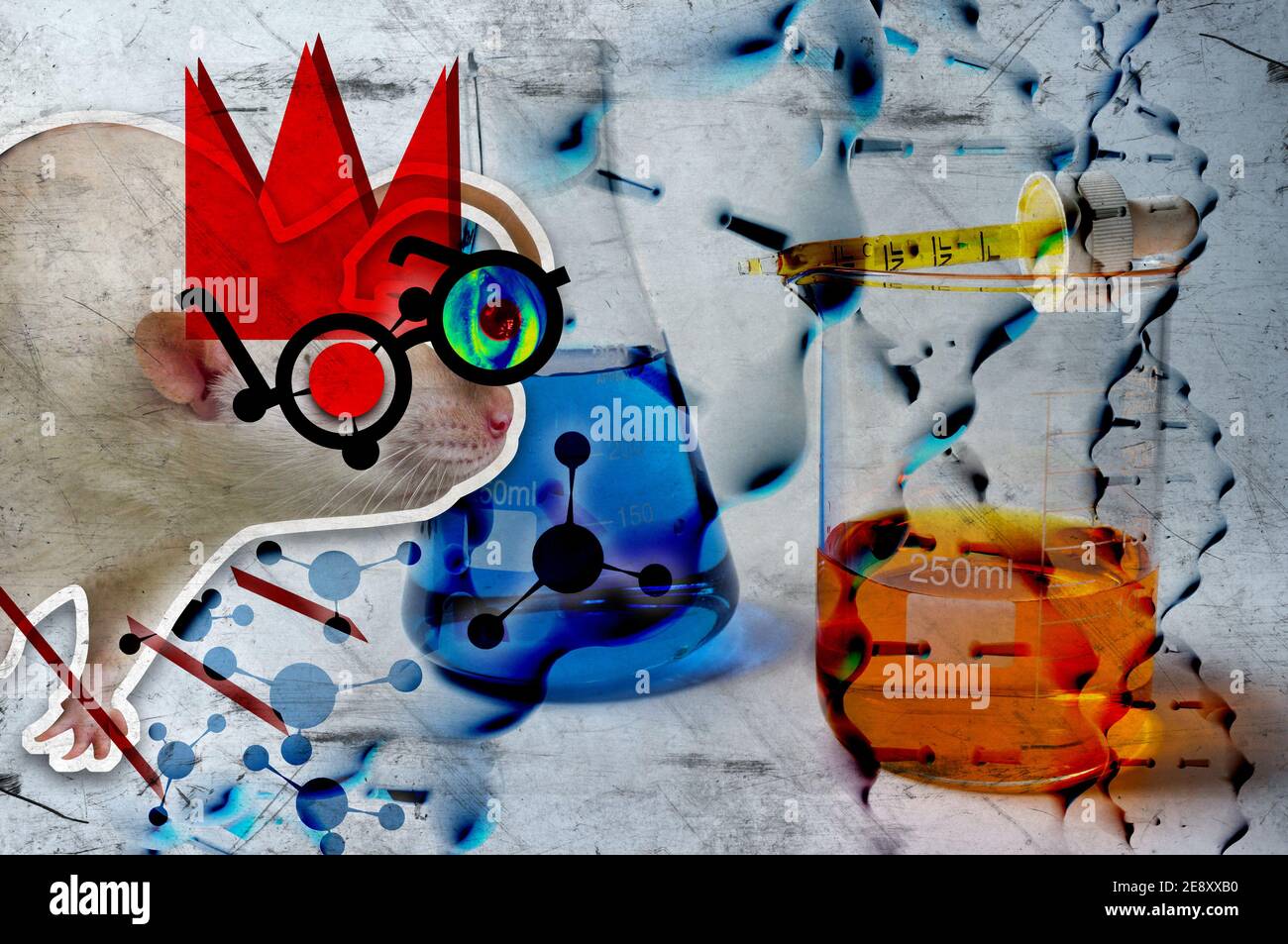 Abstract digital collage graphic of lab rat with science beakers DNA ...