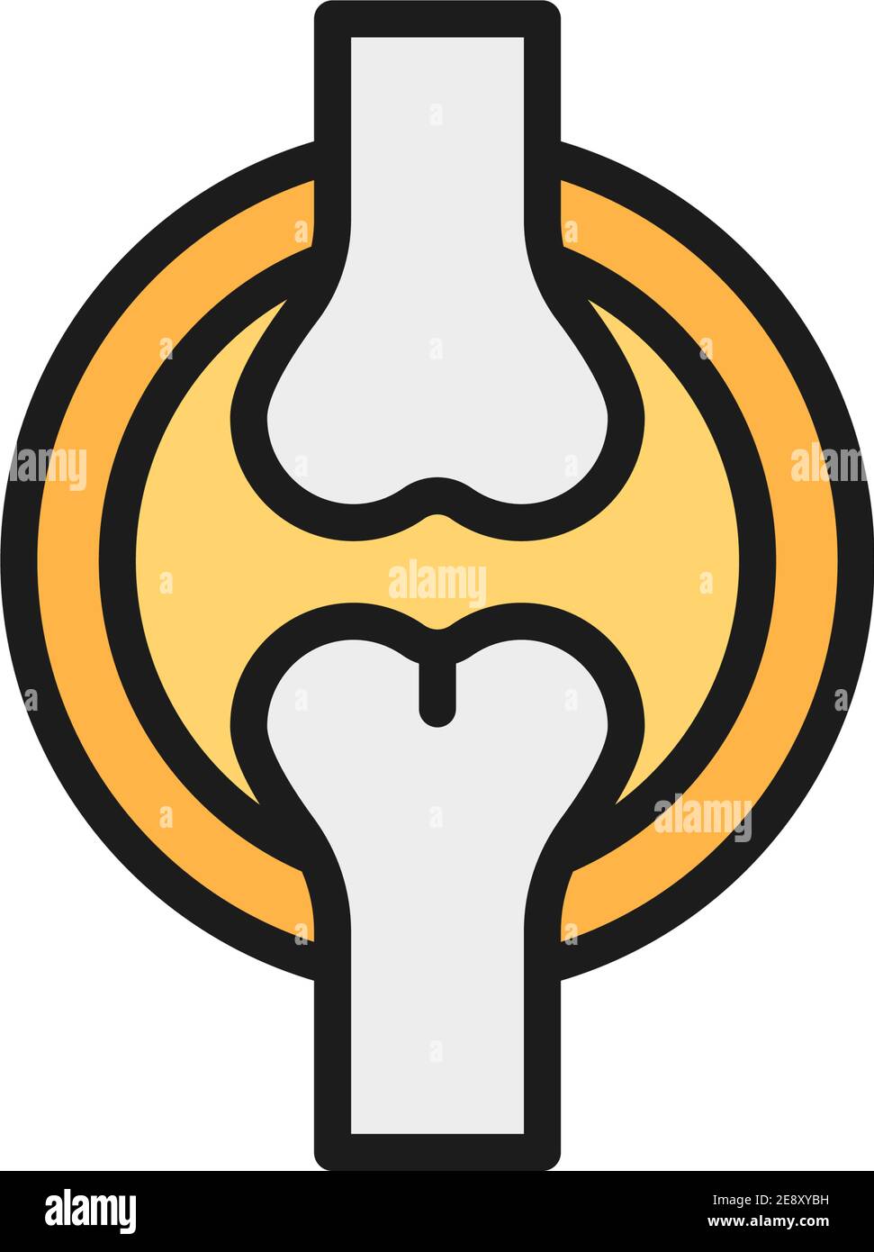 Patella bones Stock Vector Images - Alamy