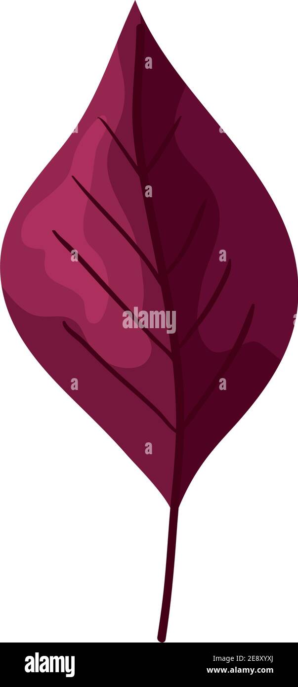 purple autumn leaf plant foliage icon Stock Vector Image & Art - Alamy