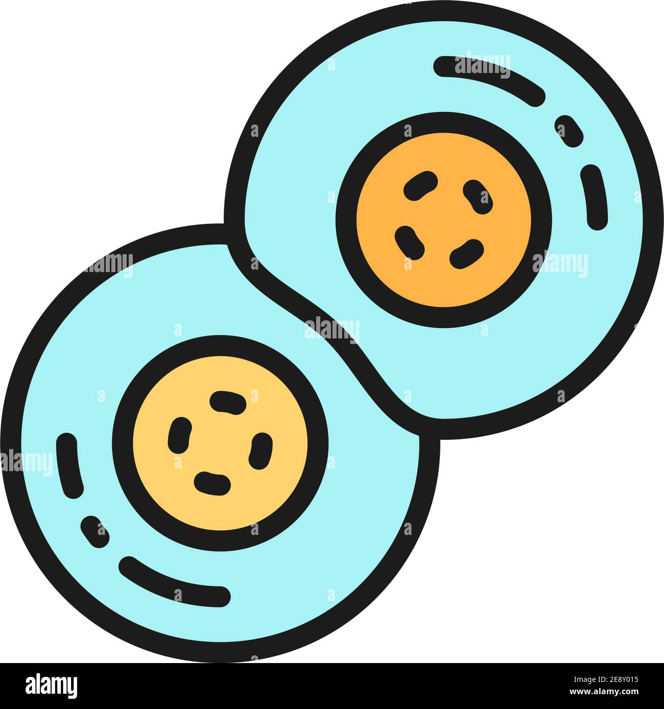 Human embryonic development cells Stock Vector Images - Alamy