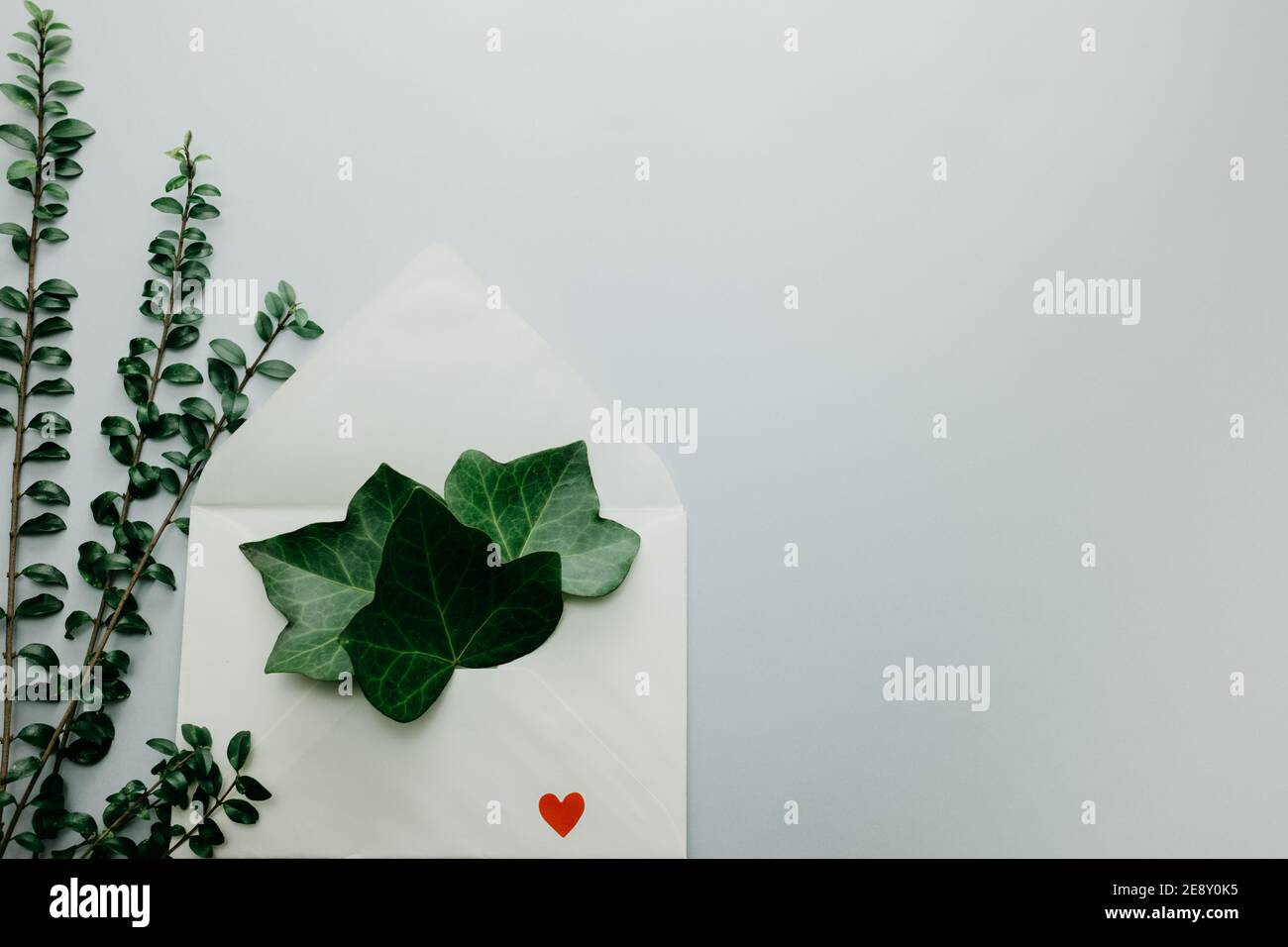 Envelope leaf hi-res stock photography and images - Alamy
