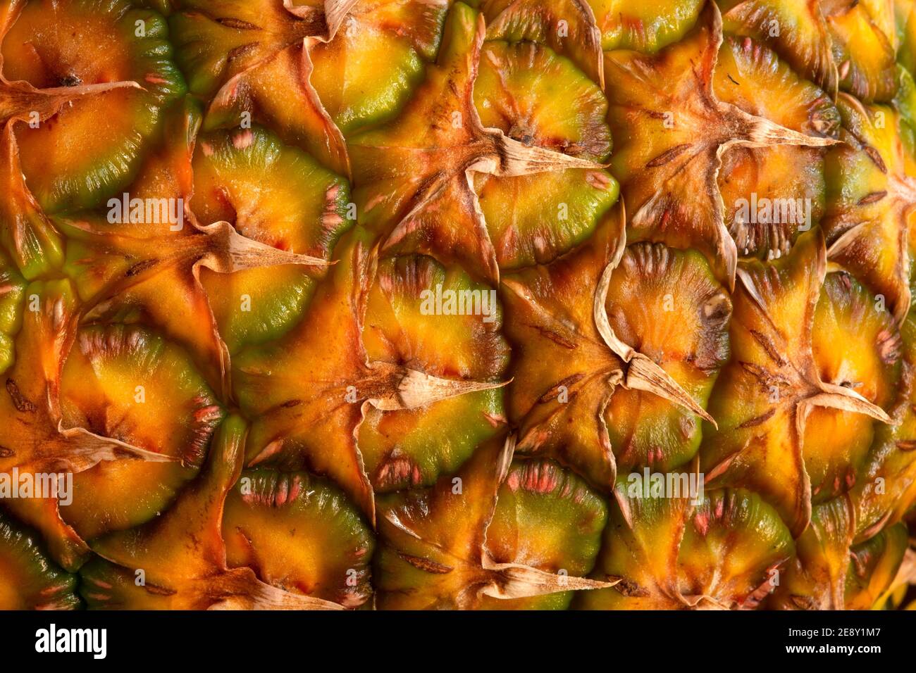Pineapple texture texture close up Stock Photo - Alamy