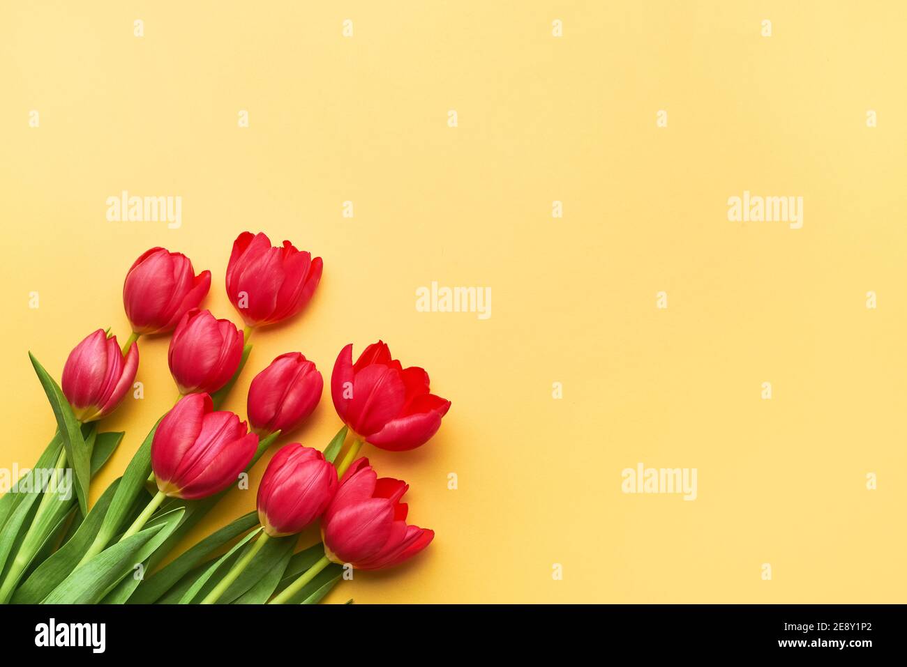 Bouquet of bright red tulips on a yellow background. Greeting card, top ...