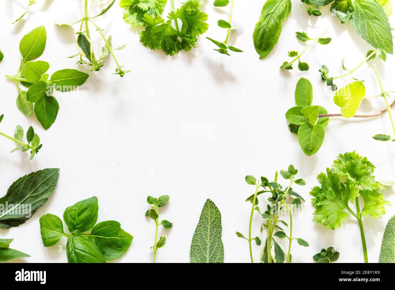 Fresh herbs on white background Stock Photo - Alamy
