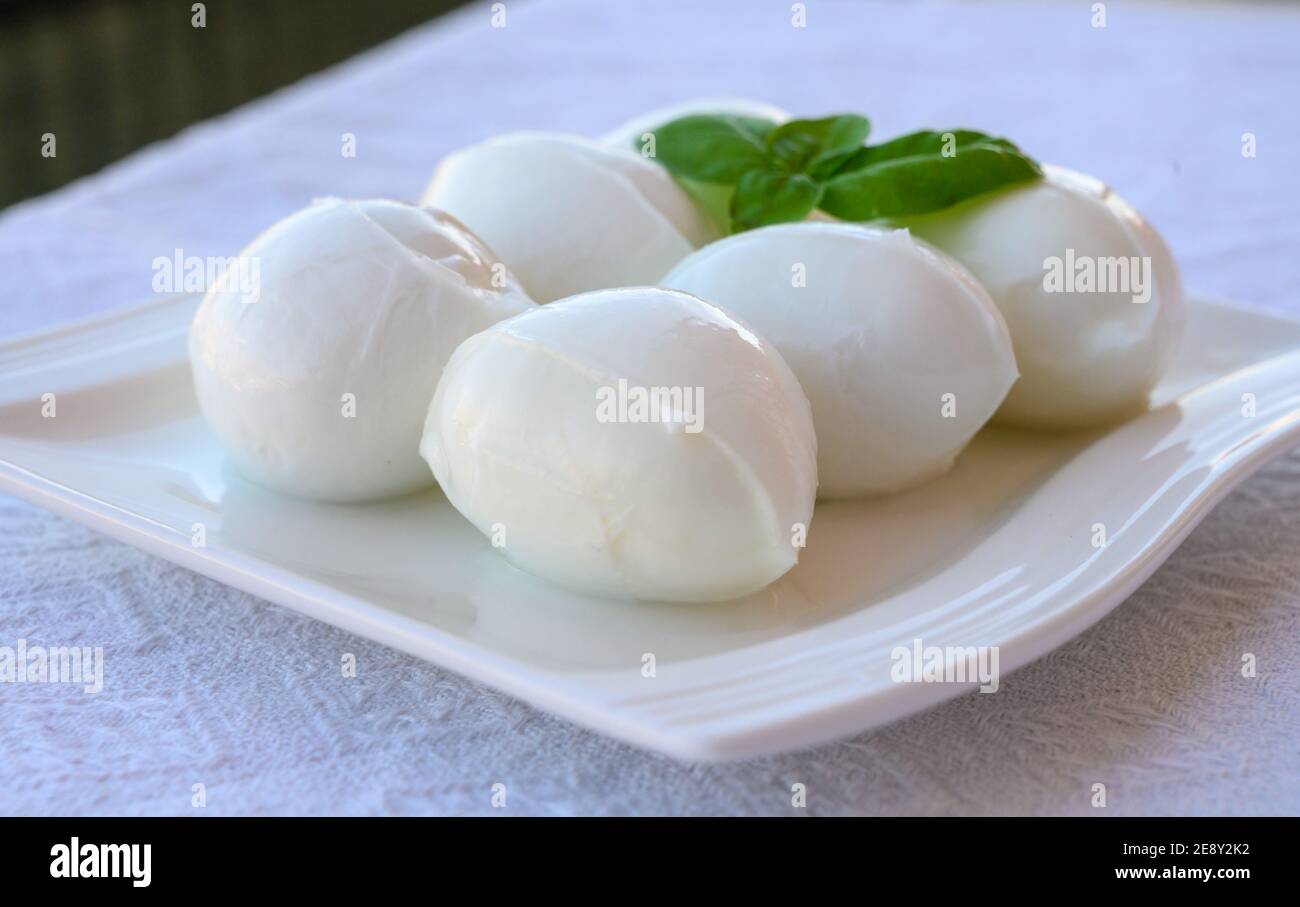 Fresh soft white italian cheese mozzarella buffalo made from Italian ...