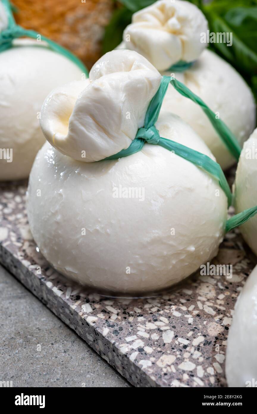 Cheese collection, fresh soft handmade Italian cheese from Puglia ...