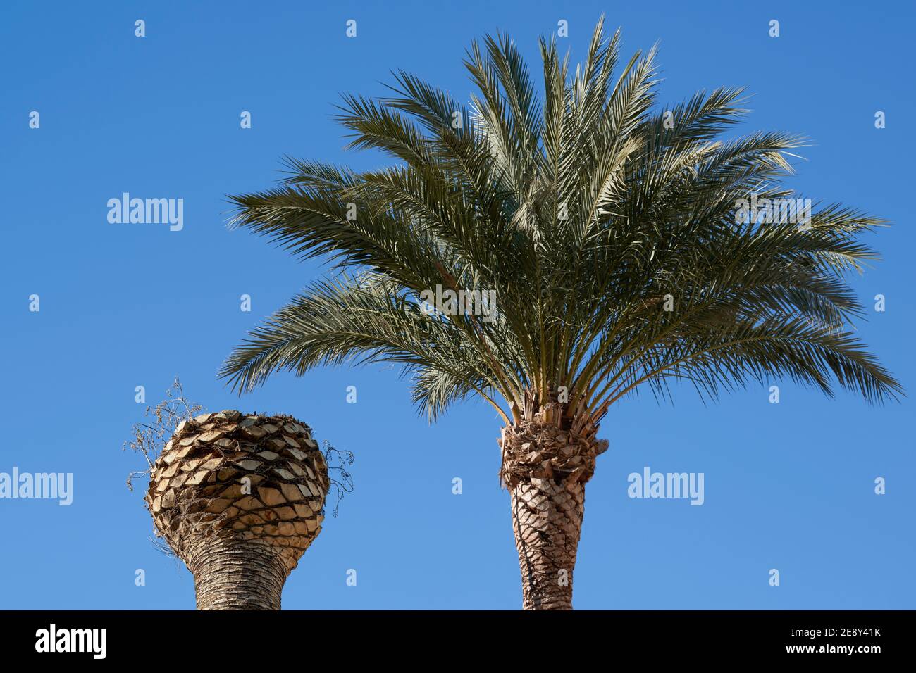 Almassora park hi-res stock photography and images - Alamy