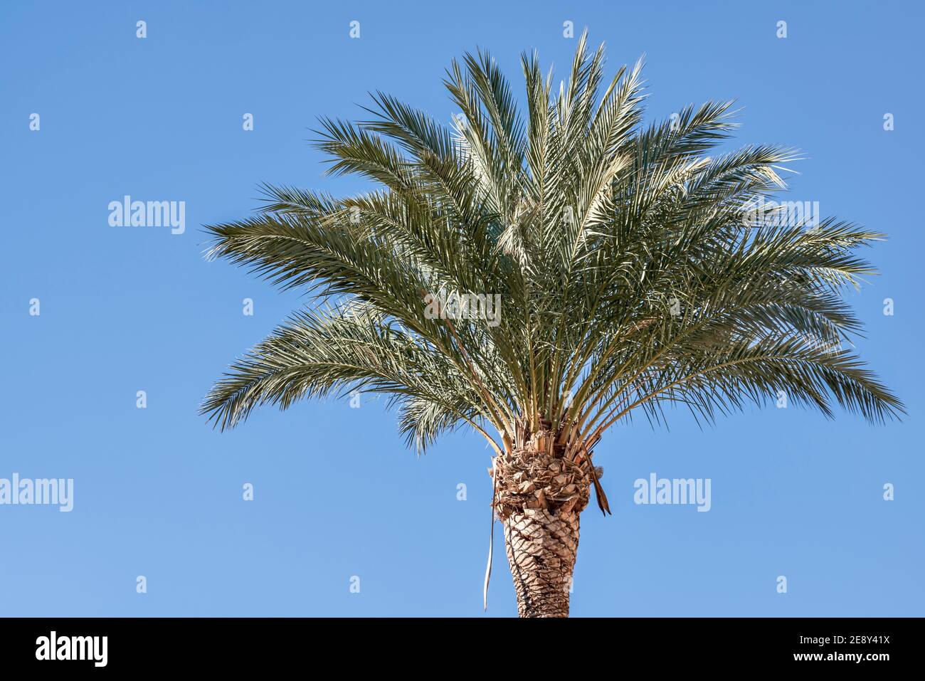 Almassora park hi-res stock photography and images - Alamy