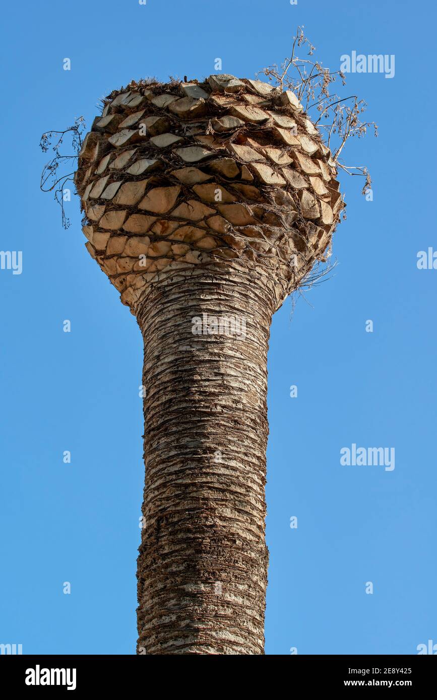 Almassora park hi-res stock photography and images - Alamy
