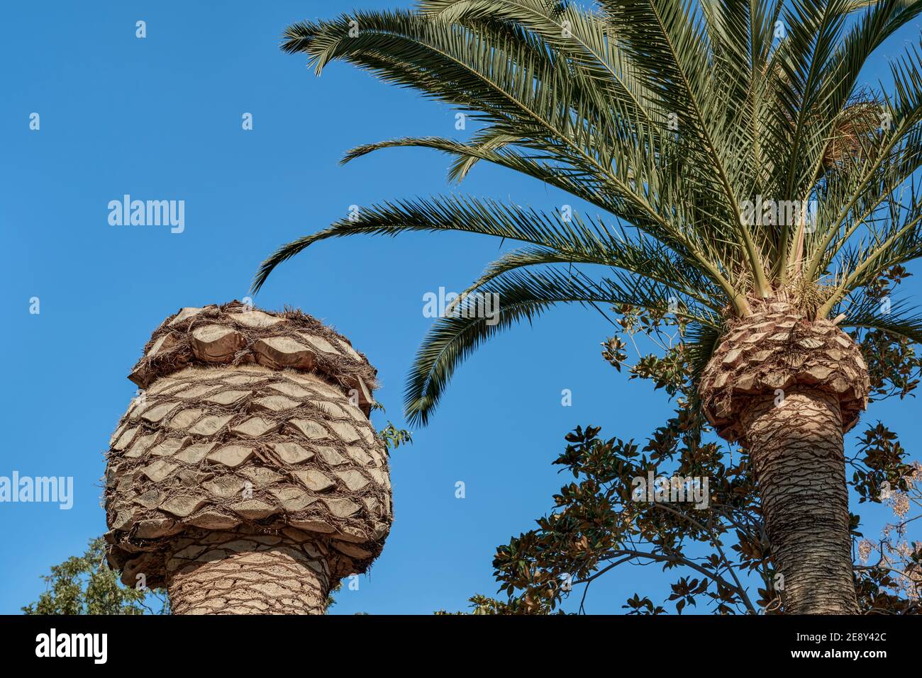 Almassora park hi-res stock photography and images - Alamy