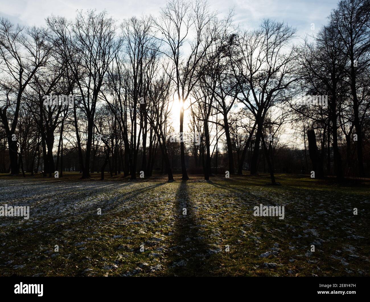 Light and shadow nature hi-res stock photography and images - Alamy