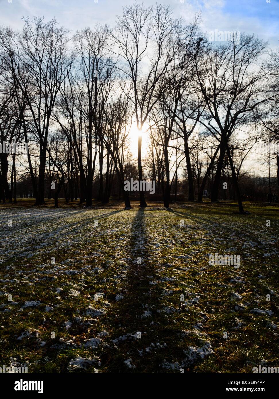 Light and shadow nature hi-res stock photography and images - Alamy