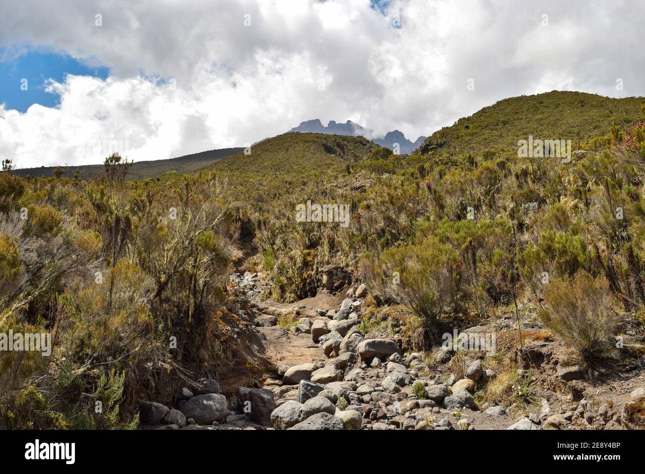 Scenic views of Mawenzi Peak, Mount Kilimanajro, Tanzania Stock Photo ...