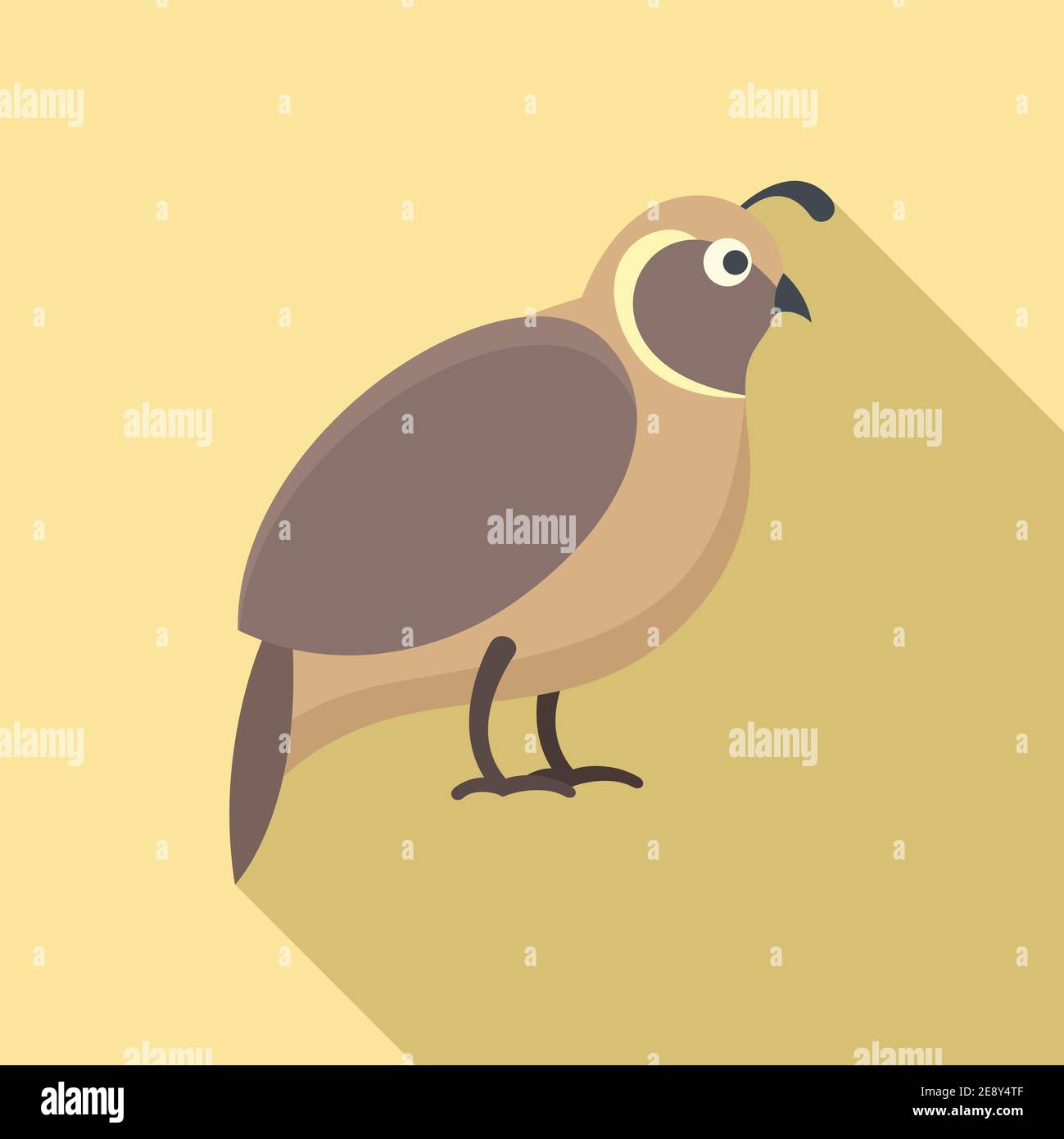 Cartoon california quail hi-res stock photography and images - Alamy