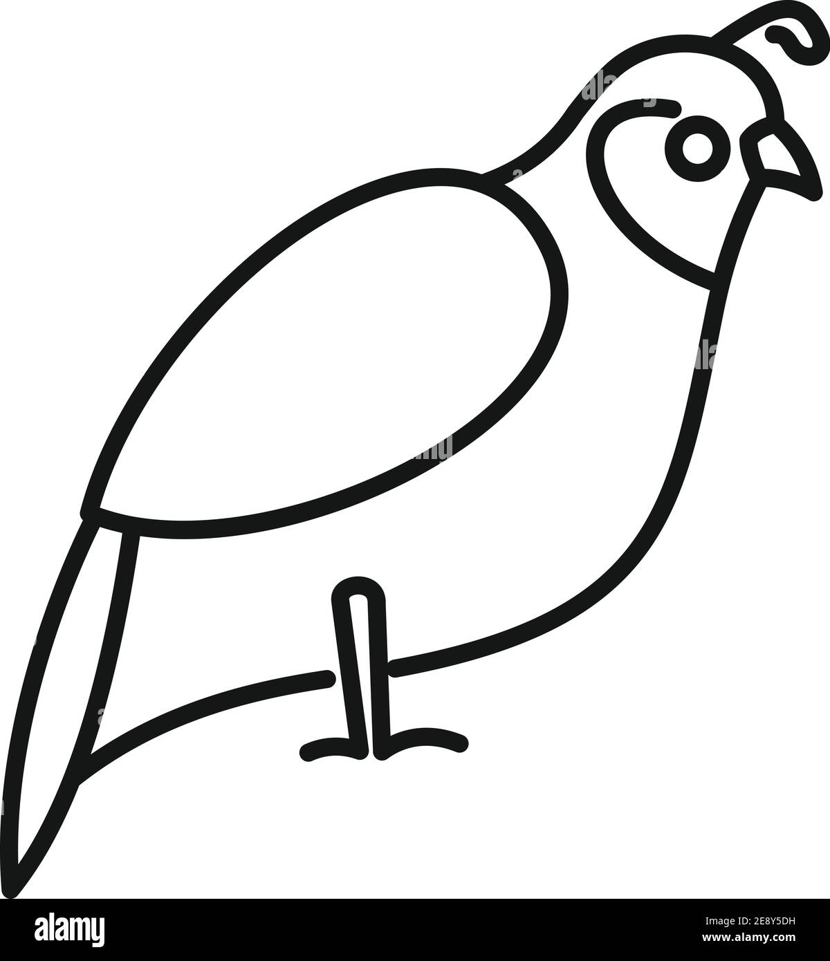 Quail domestic icon, outline style Stock Vector Image & Art - Alamy