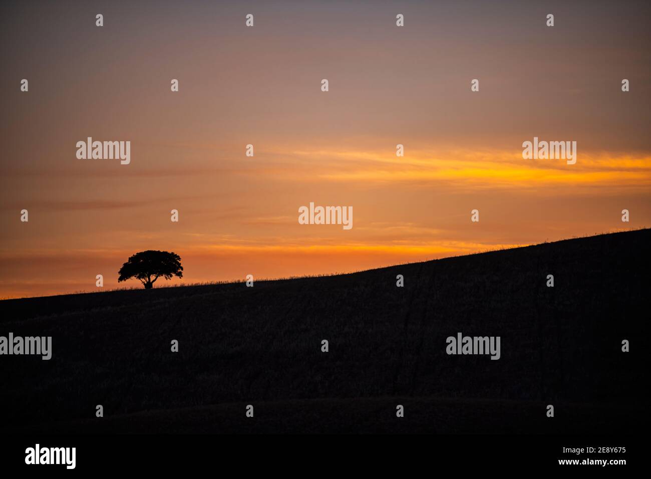 Backlight of mount and tree at sunset. High quality photo Stock Photo ...