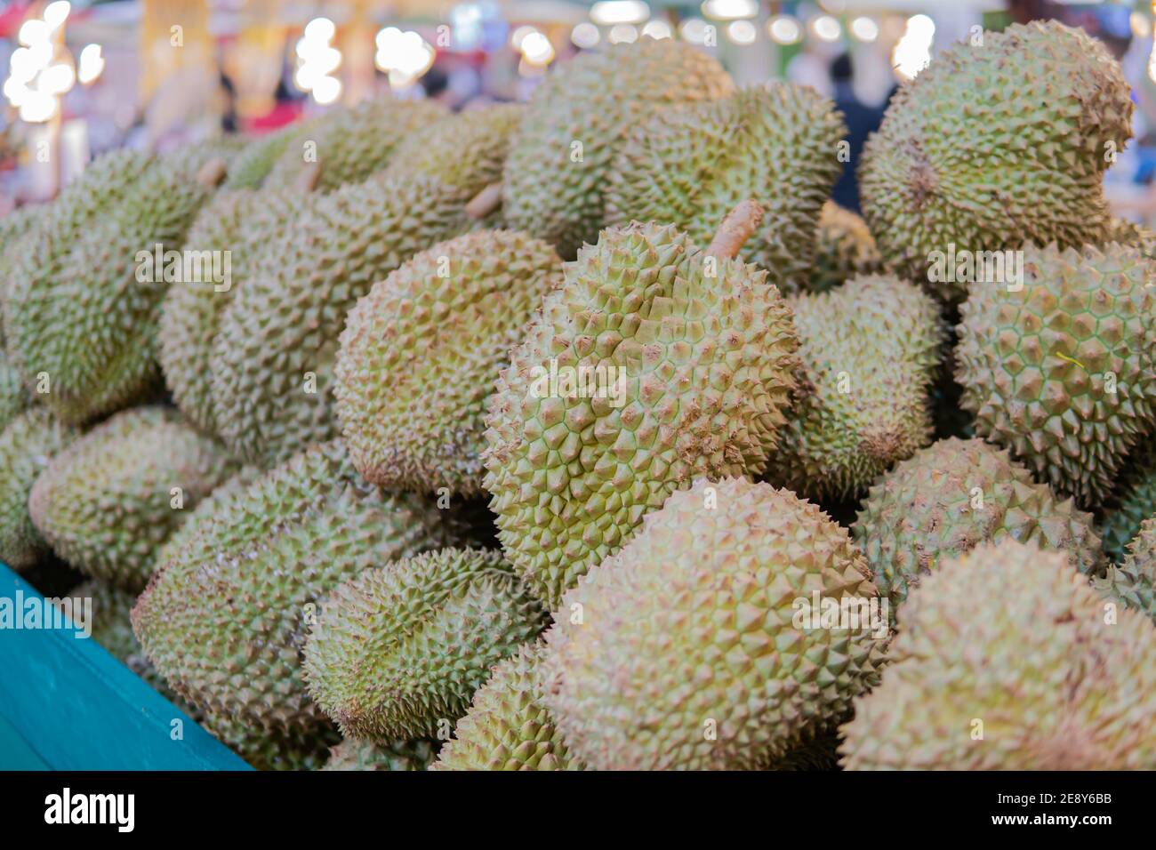 Durian farm malaysia hi-res stock photography and images - Alamy