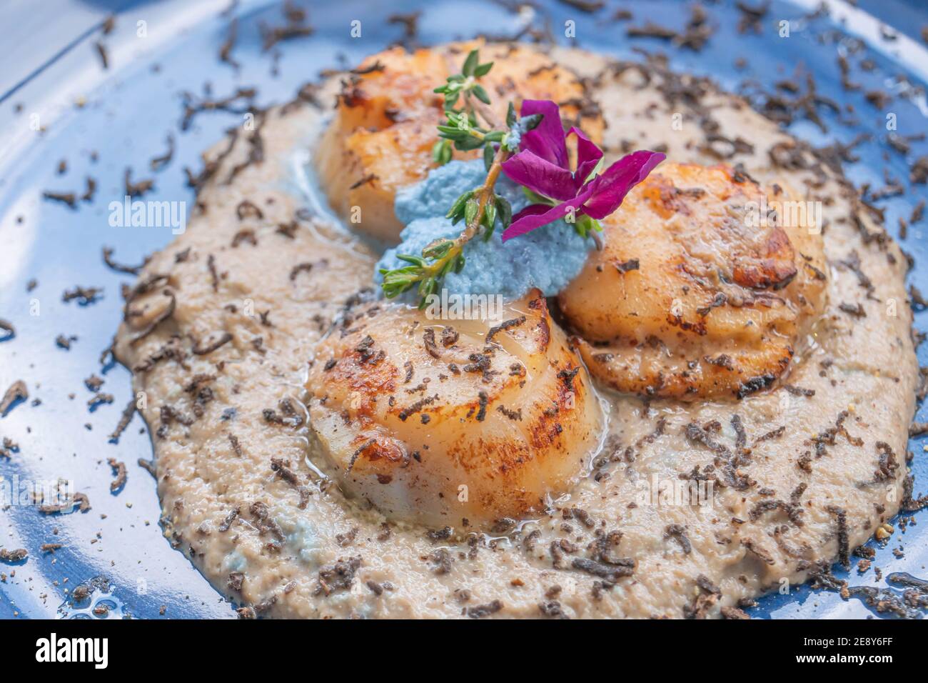 Seared scallop appetizer in dish Stock Photo - Alamy