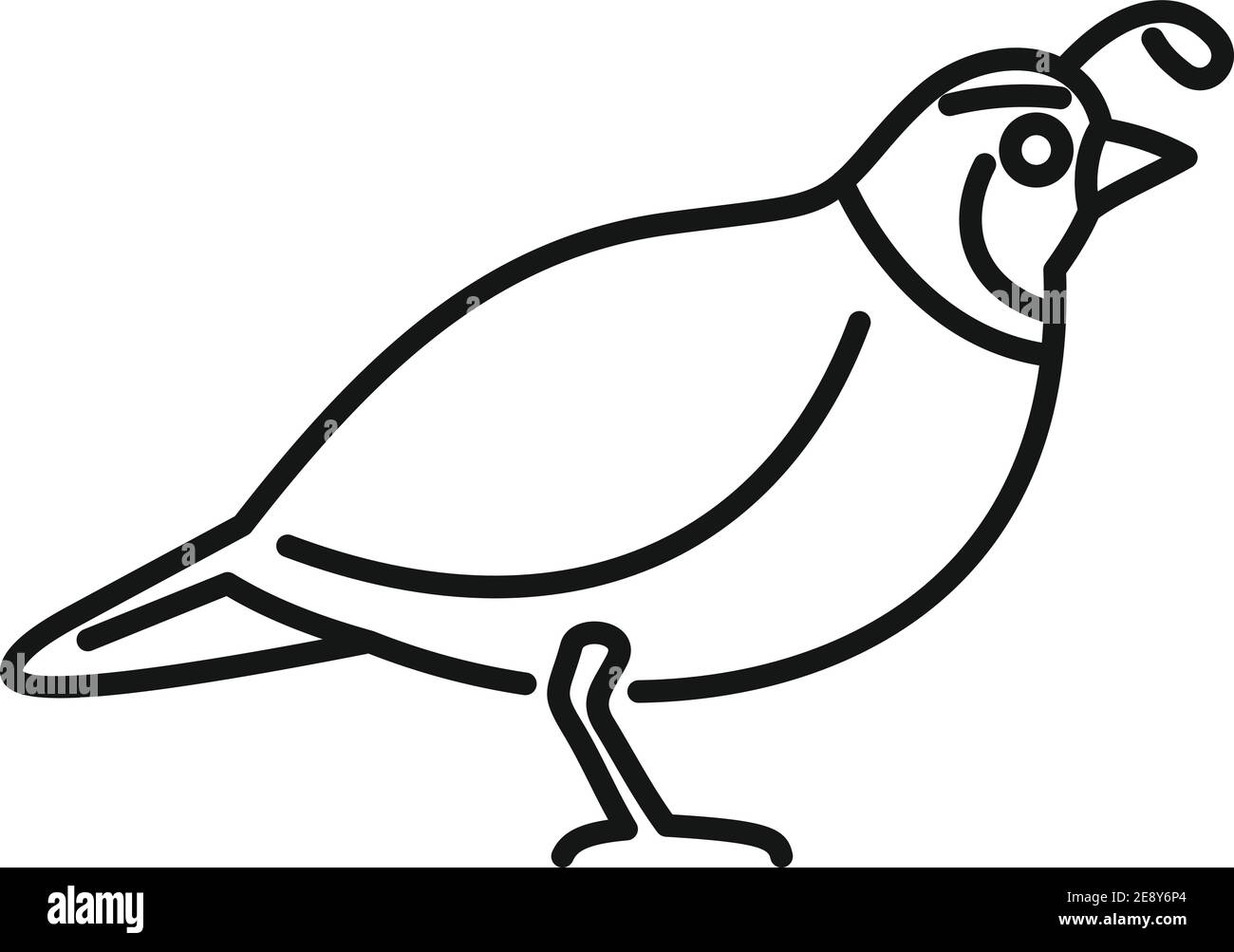 Quail adorable icon, outline style Stock Vector Image & Art - Alamy