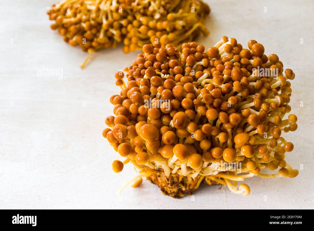 Golden brown Asian Enoki mushrooms, vegetable background, fungus Stock ...