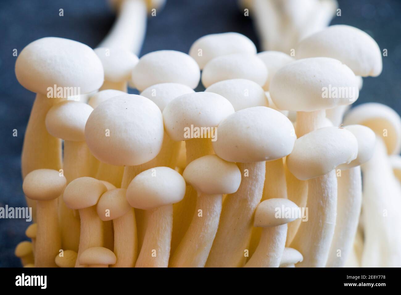 White Asian Enoki mushroom, raw vegan food, fungus Stock Photo - Alamy