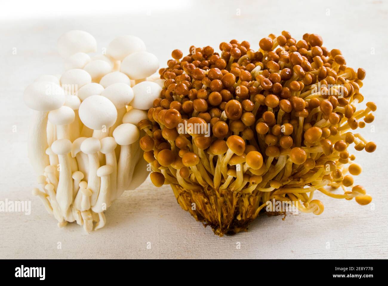 Golden brown and white Asian Enoki mushrooms, vegetable background ...