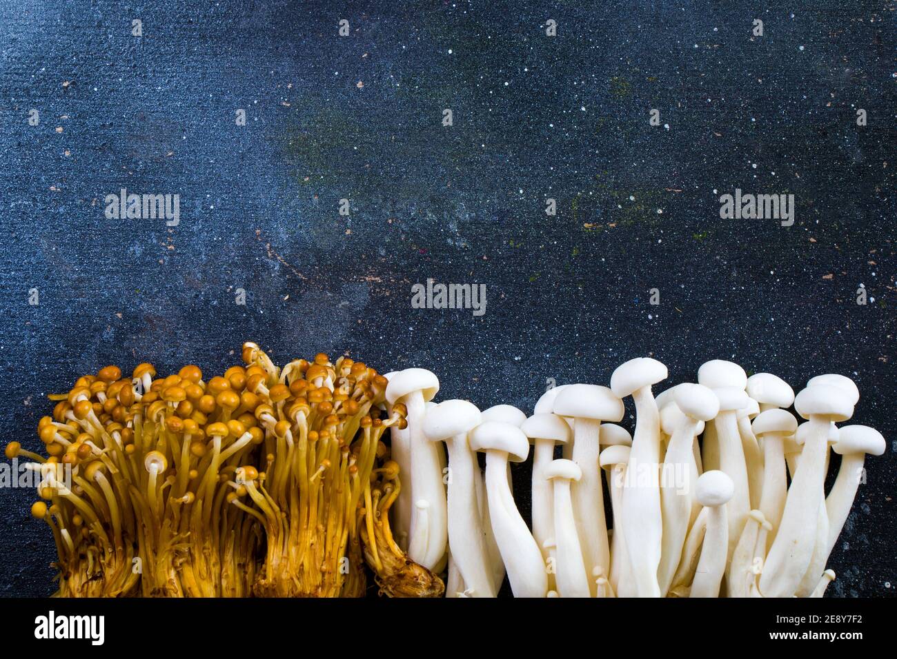 Golden brown and white Asian Enoki mushrooms, vegetable background ...