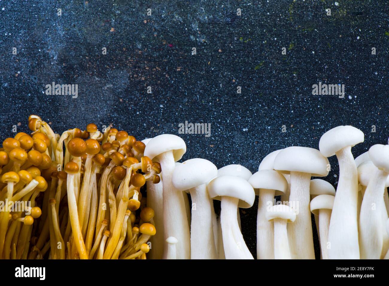 Golden brown and white Asian Enoki mushrooms, vegetable background ...