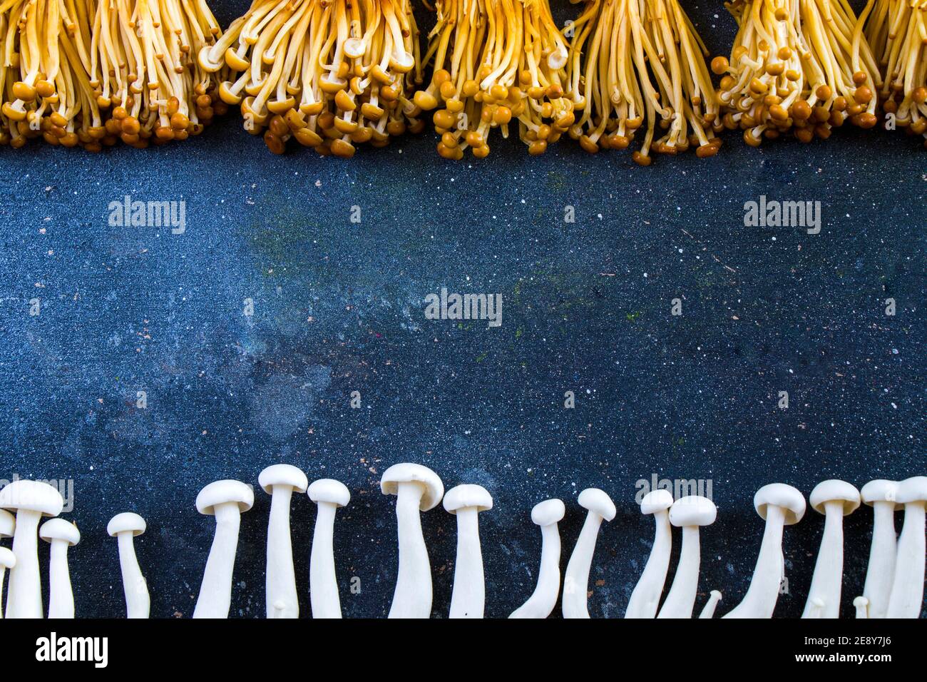 Golden brown and white Asian Enoki mushrooms, vegetable background ...