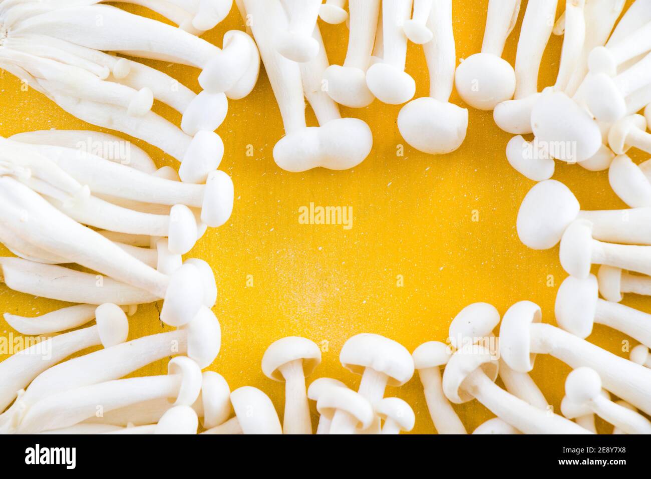 White Asian Enoki mushroom, raw vegan food on the yellow background ...