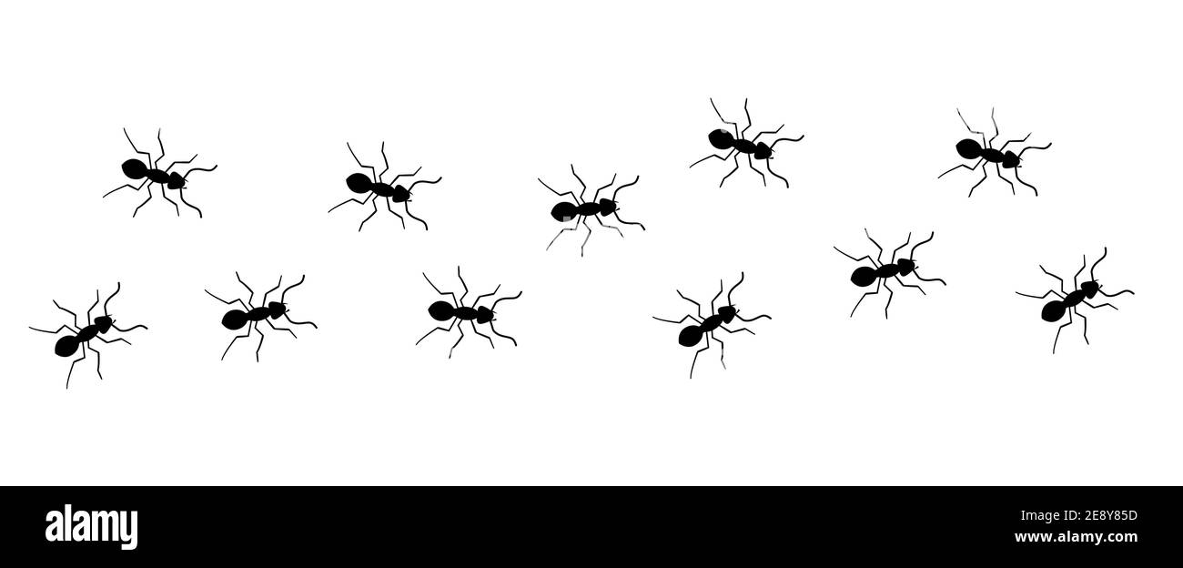 Ants Teamwork Vector