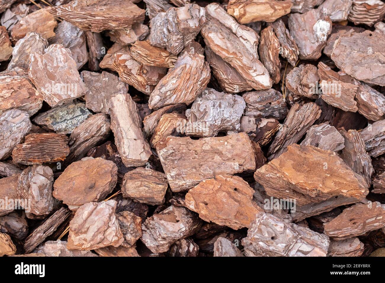 Lot of wooden splinters close-up. Decorative wood chips texture ...