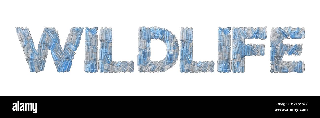 Wildlife word spelt out in empty plastic bottle font. 3D Rendering ...