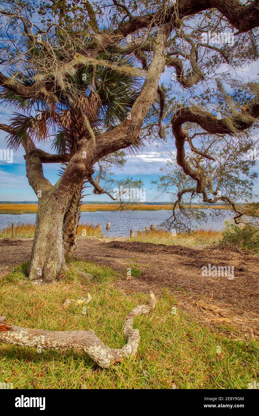 Cedar point Preserve Stock Photo - Alamy