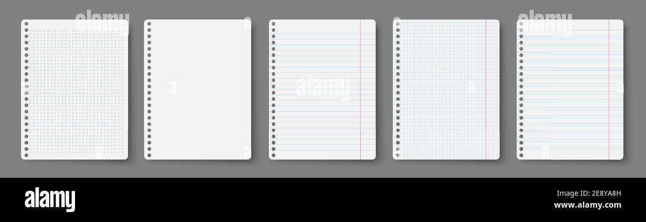 Notebook line squared dot. Diary template. Notepad empty page set. Vector blank white list mock ...