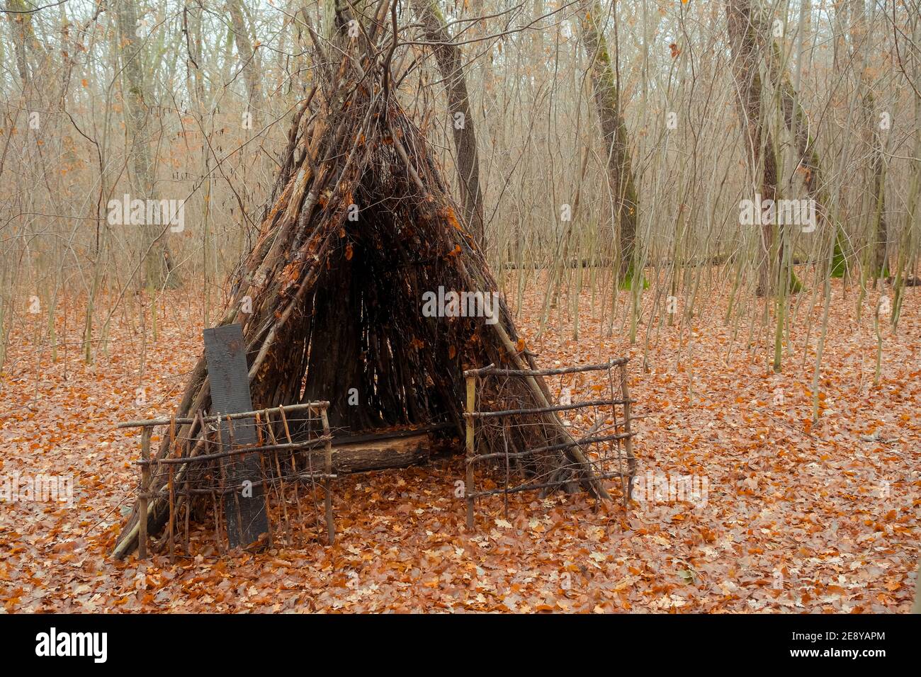 hut made of branches for animals on a forest Stock Photo - Alamy