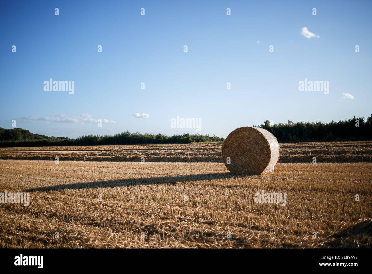 Couple roll in hay hi-res stock photography and images - Alamy