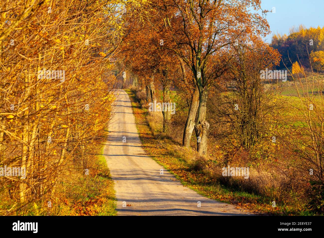 Colors and agriculture hi-res stock photography and images - Alamy