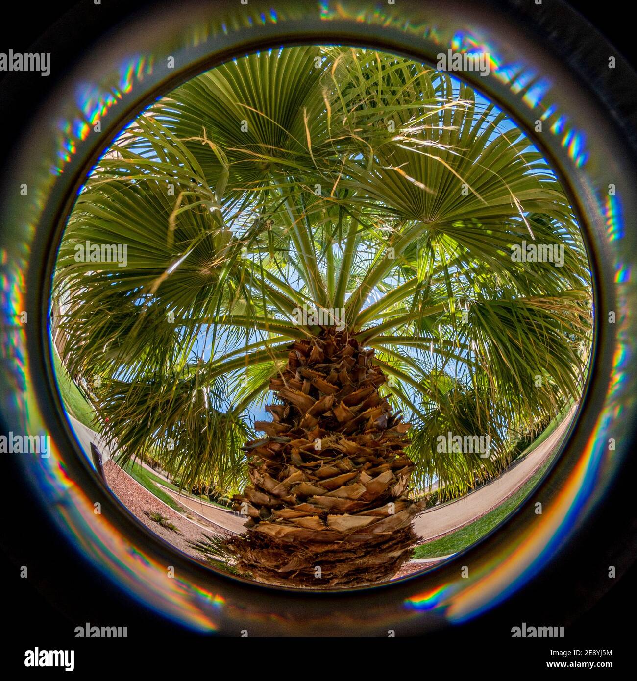 Lensbaby circular fisheye view hi-res stock photography and images - Alamy