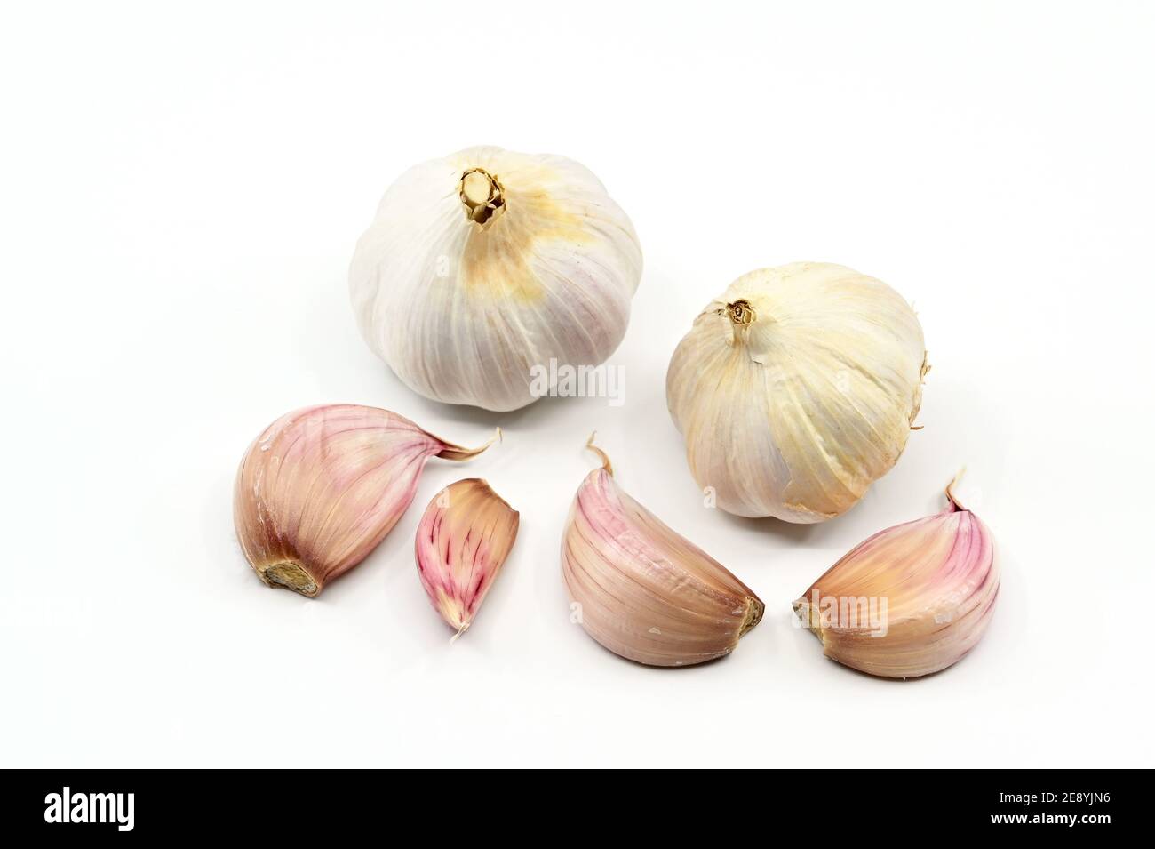 Close up of cloves and bulbs of fresh garlic or "Allium sativum" on a ...