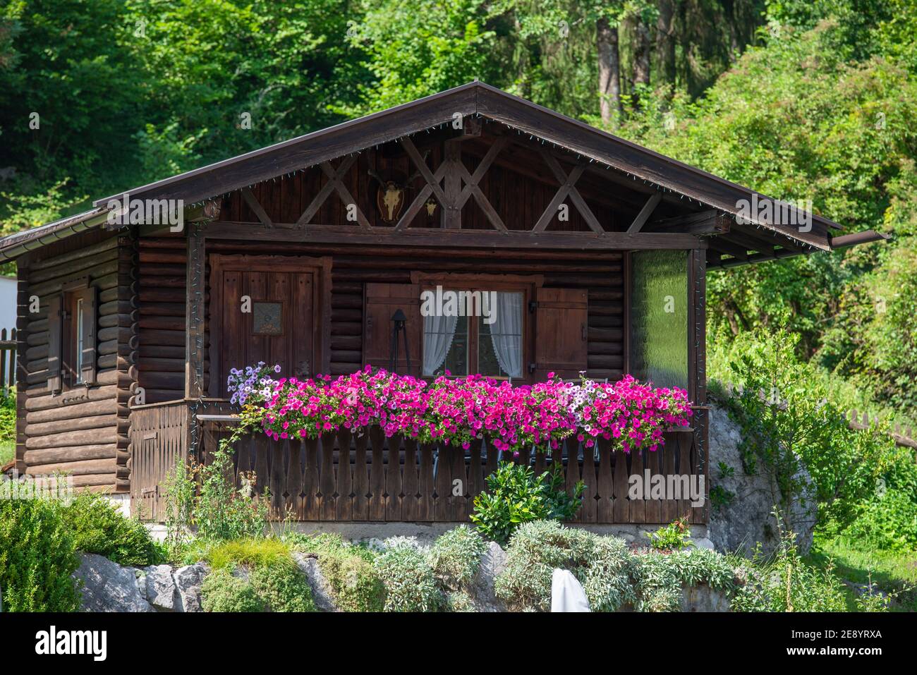 small wooden holiday home surrounded by nature Stock Photo - Alamy