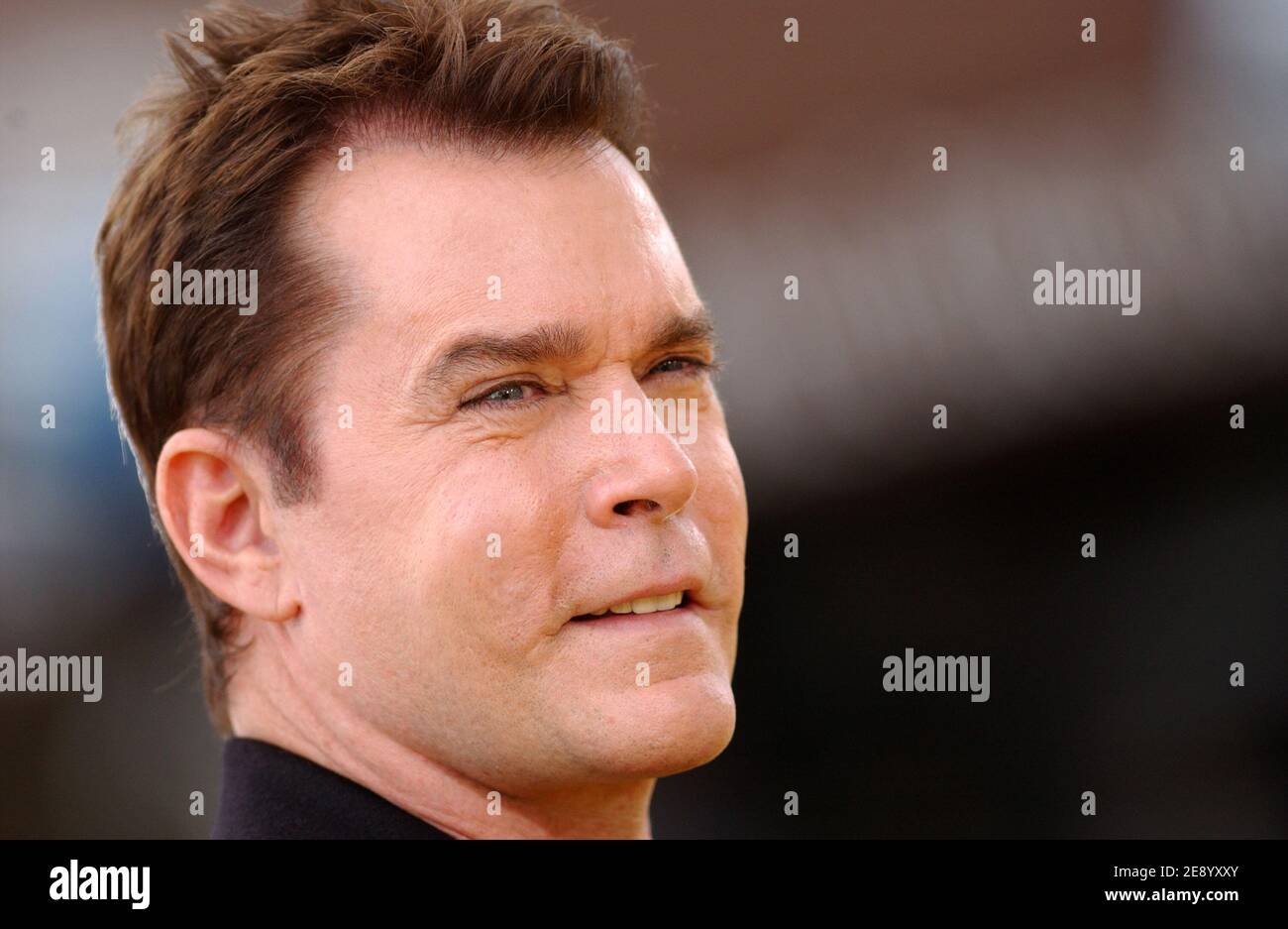 Ray Liotta attends the Bee Movie Premiere, held at the Mann Village ...