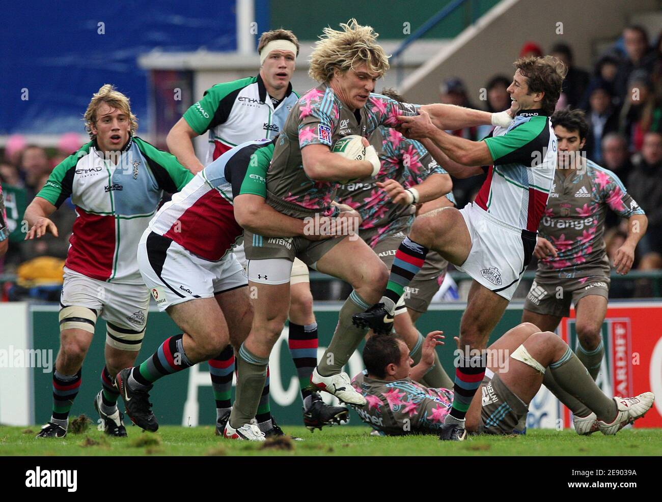 Nec harlequins hi-res stock photography and images - Alamy