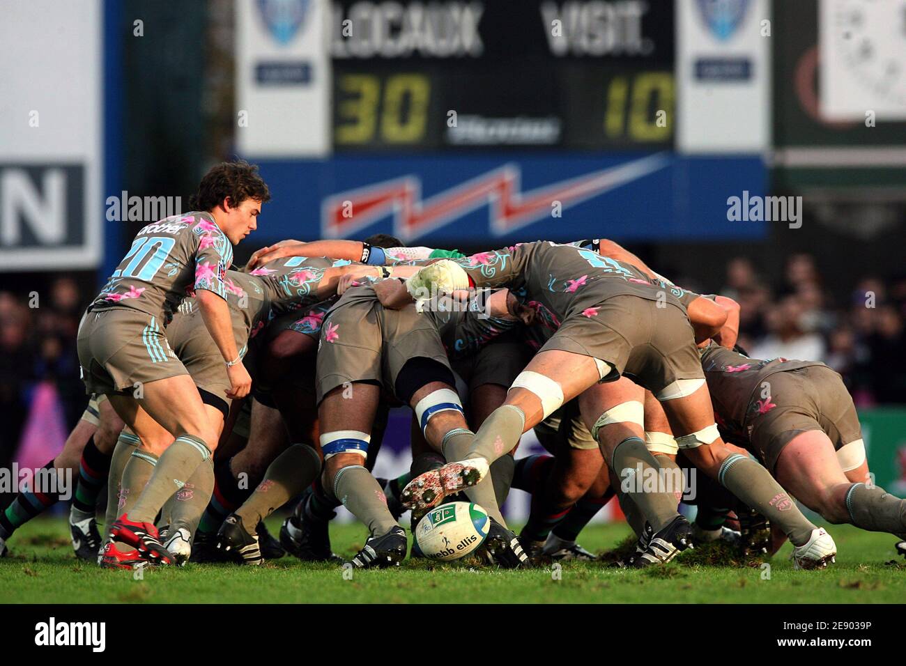Nec harlequins hi-res stock photography and images - Alamy
