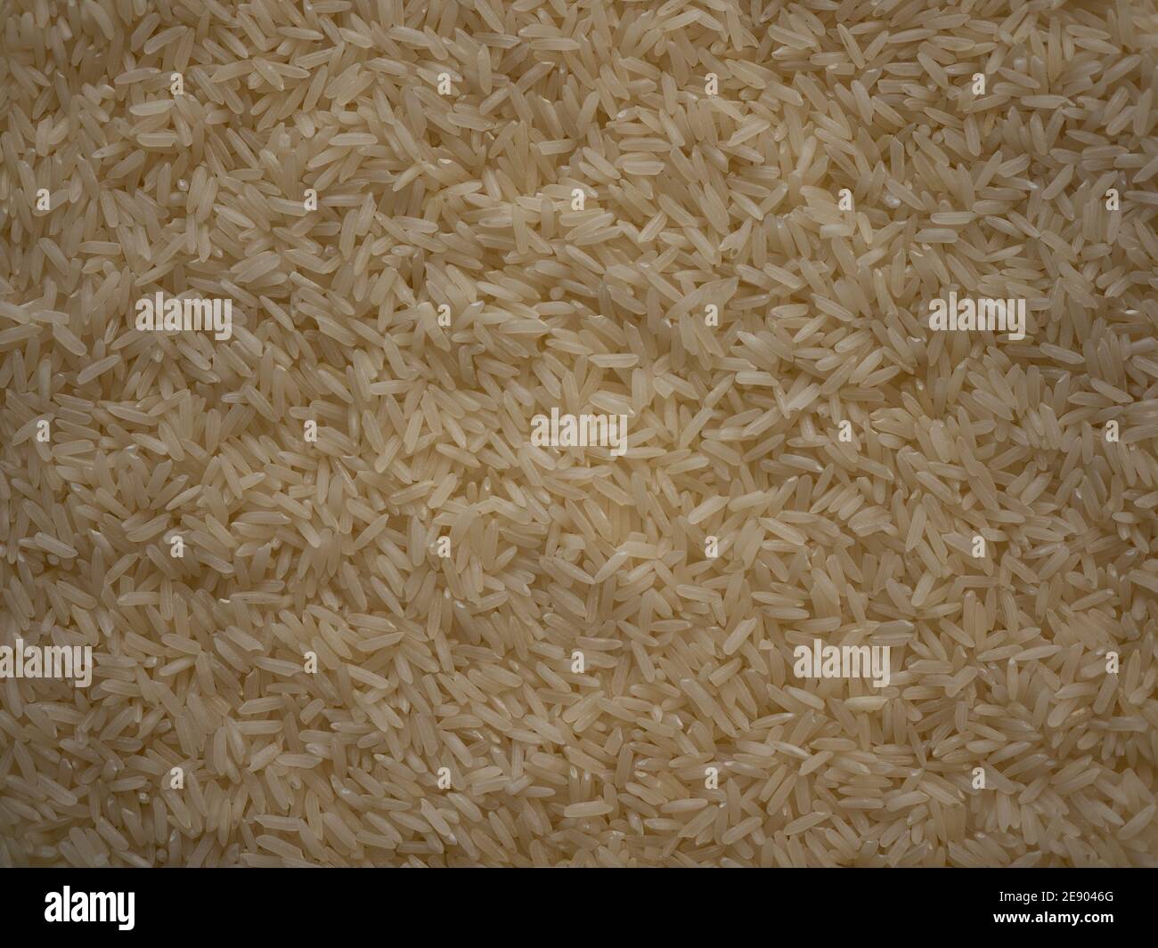 Thaï rice. Flat lay, top view Stock Photo - Alamy