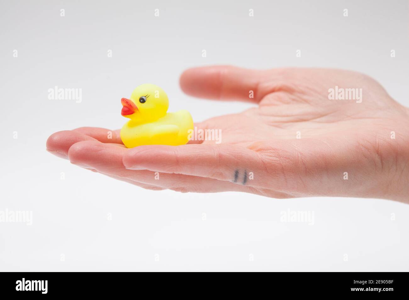 Holding Rubber Duck High Resolution Stock Photography and Images - Alamy
