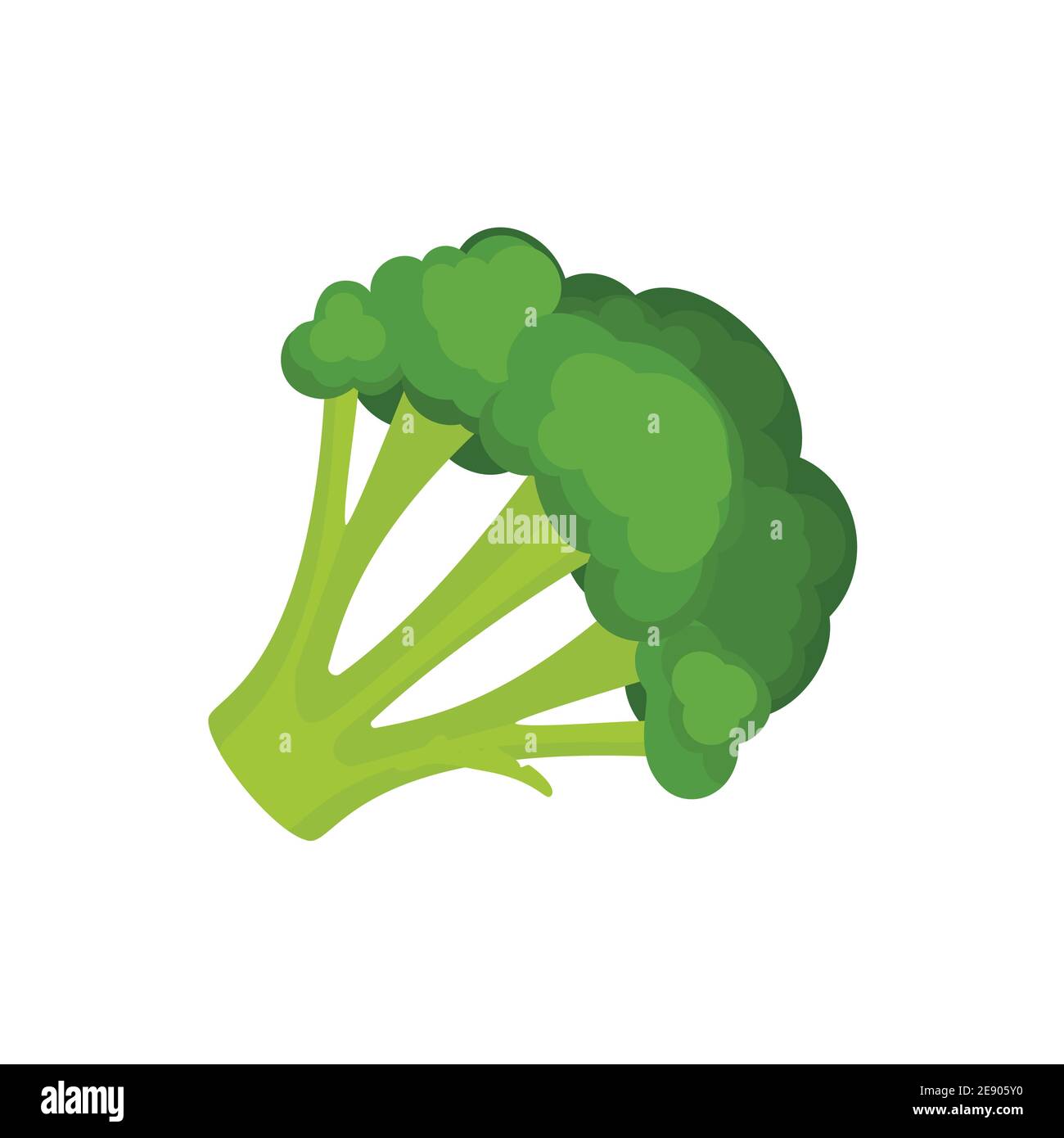 Fresh broccoli icon. Fresh broccoli vector icon for web design Stock ...