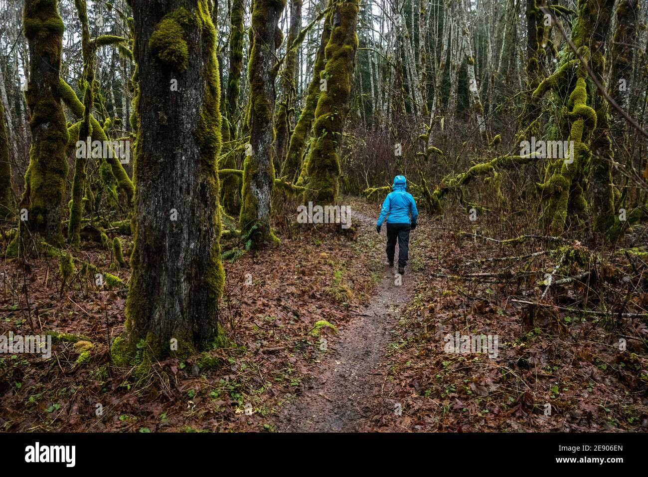 Wet woman on floor hi-res stock photography and images - Alamy